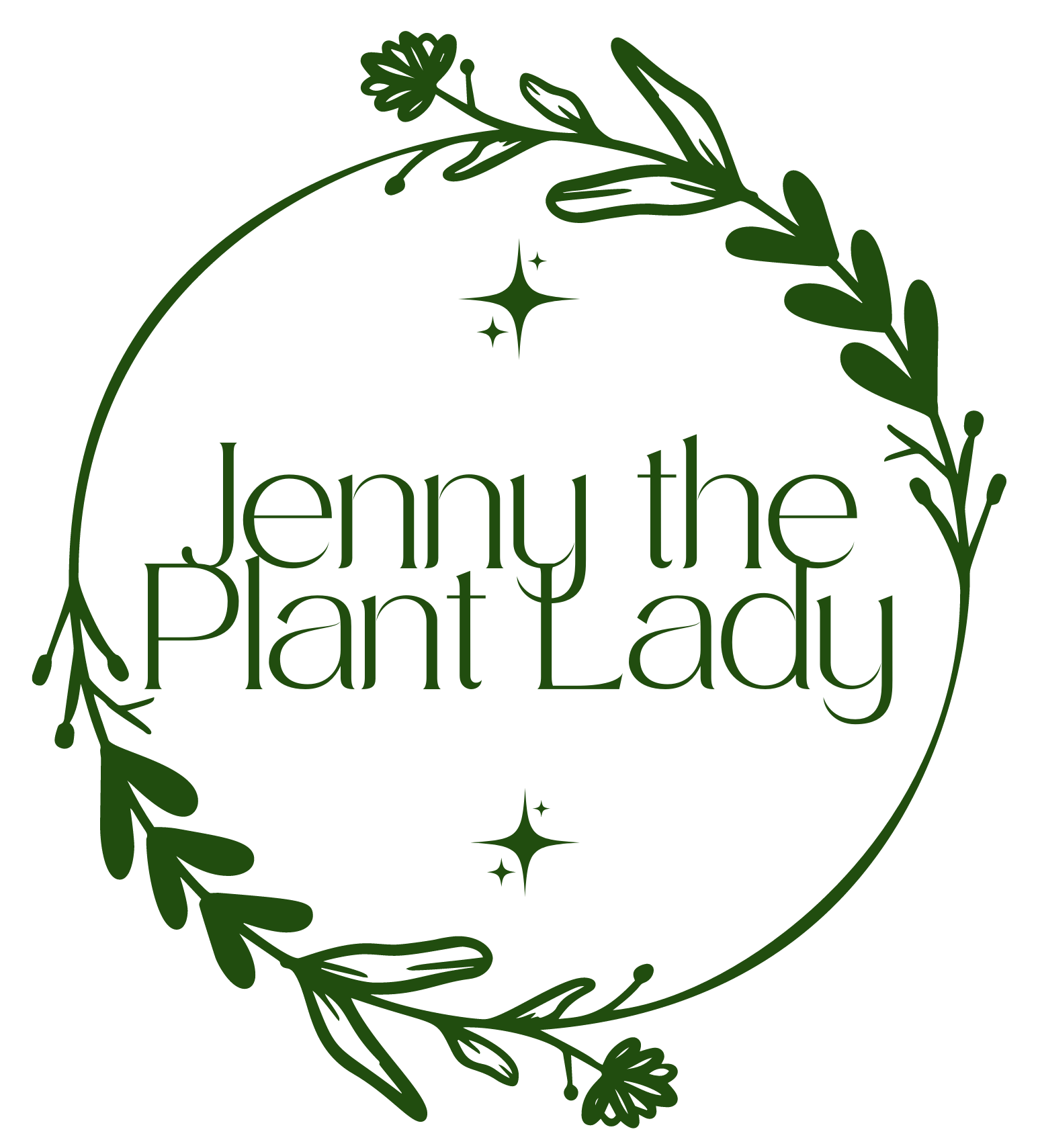 Rattlesnake Calathea – Jenny the Plant Lady